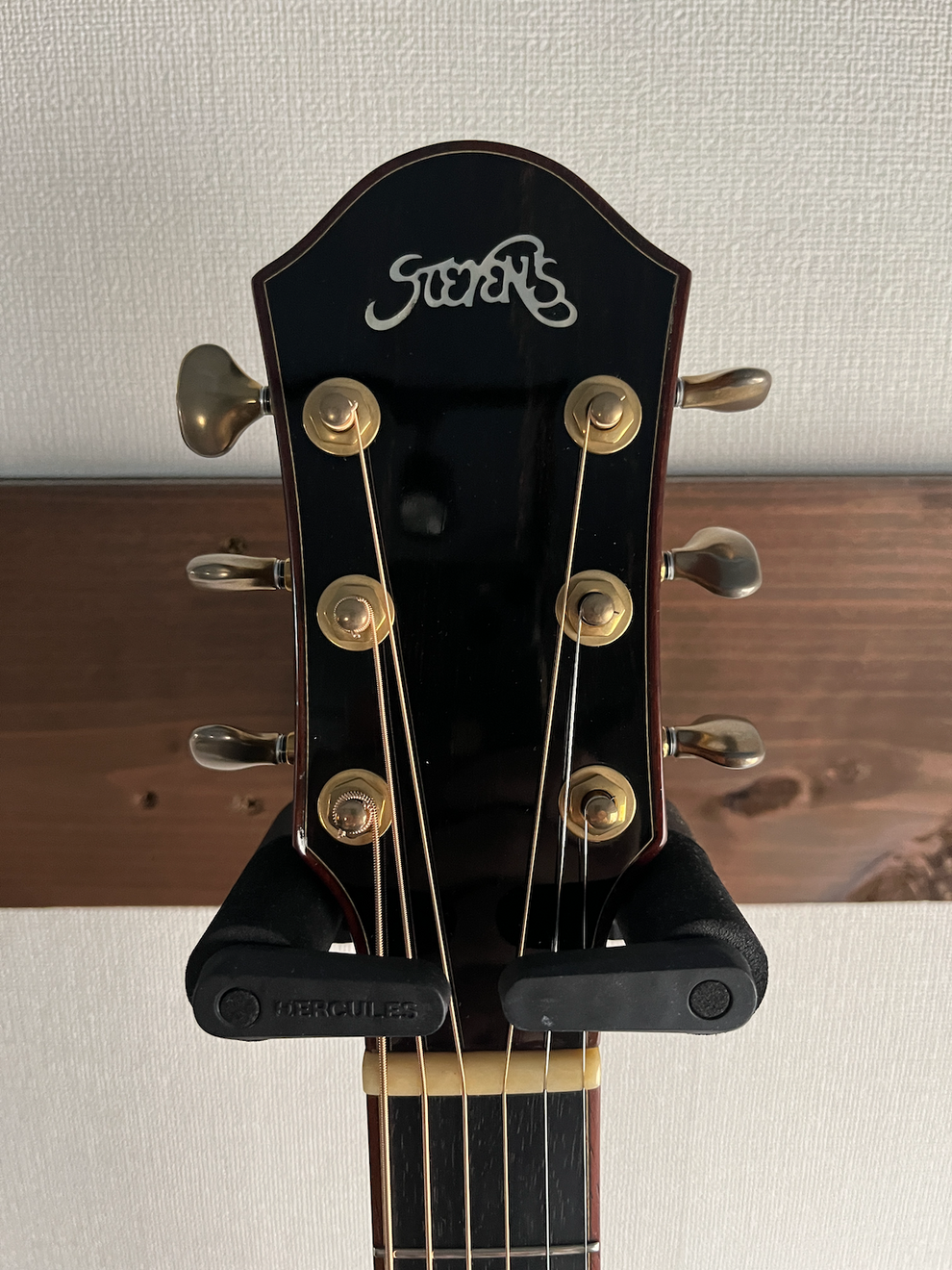 Stevens Custom Guitars CA-AT 2008 – auldguitars